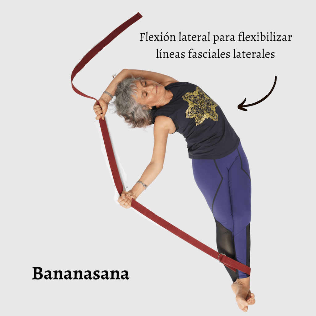 Los 3 'tattvas' del Yin yoga | Yoga en Red Los 3 'tattvas' del Yin yoga