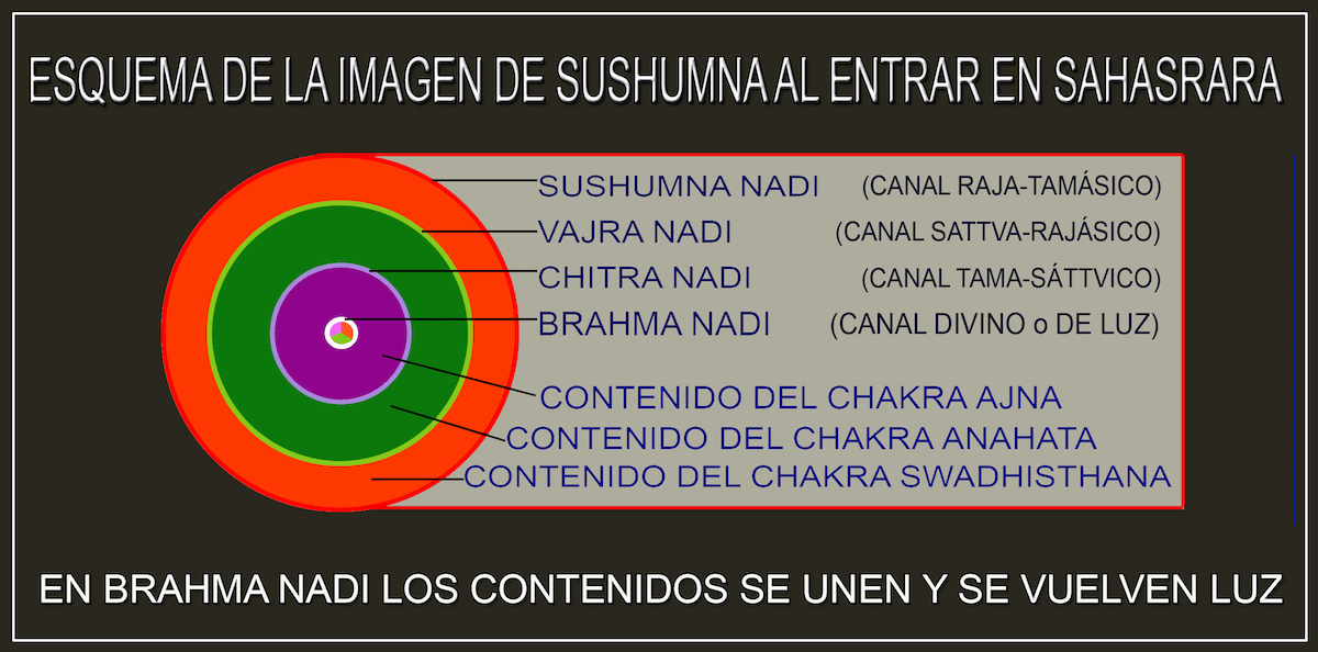 Revelaciones sobre el crecimiento interior, la Kundalini y los nadis ...