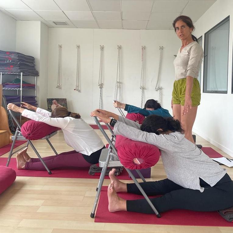 Formación en Yoga Iyengar terapéutico: el apoyo necesario | Yoga en Red ...