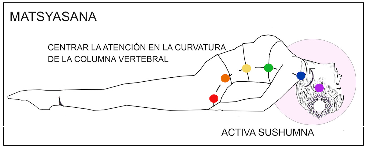 Tabla de ásanas nacida de la observación de los animales (3) | Yoga en Red
